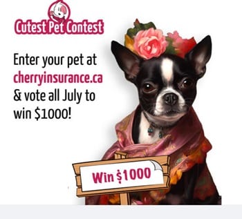 Cherry Insurance Contest: Win Cutest Pet Cash Prizes • Contest Scoop