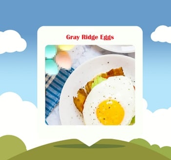 Gray Ridge Eggs Contest: Win Egg Cooker & Free Eggs for Three Months ...